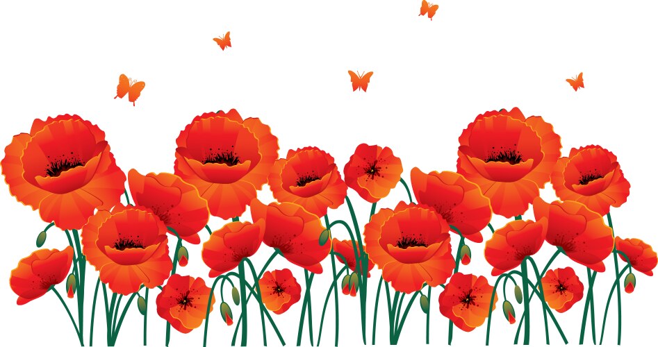 Poppy daisy background Royalty Free Vector Image