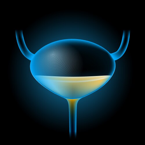 Urine Vector Images (over 11,000)