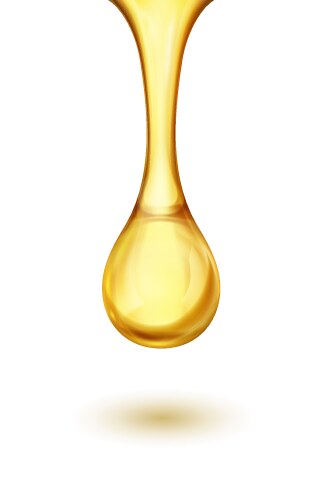 Olive oil drop Royalty Free Vector Image - VectorStock