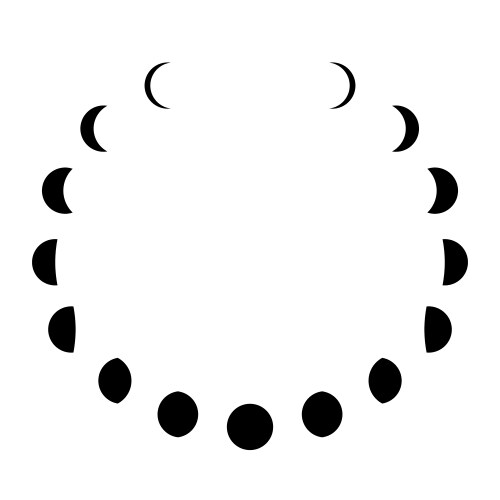 Lunar moon phases cycle all 28 shapes for each Vector Image