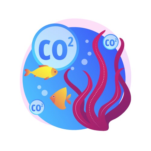 Ocean Acidification Vector Images (over 120)
