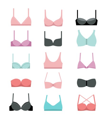 Bra icon set different types of bras and pants Vector Image