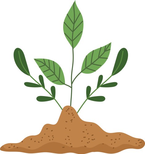 Green plants in the soil farm planting process Vector Image
