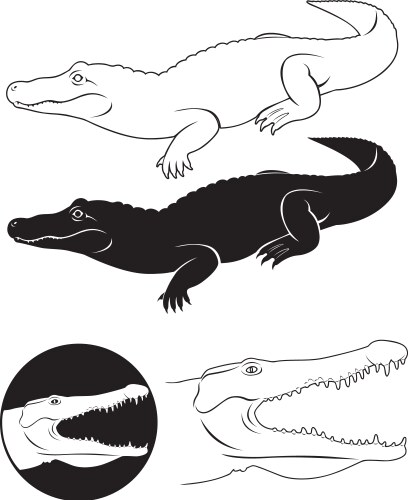Alligator Outline Vector Images (over 2,300)