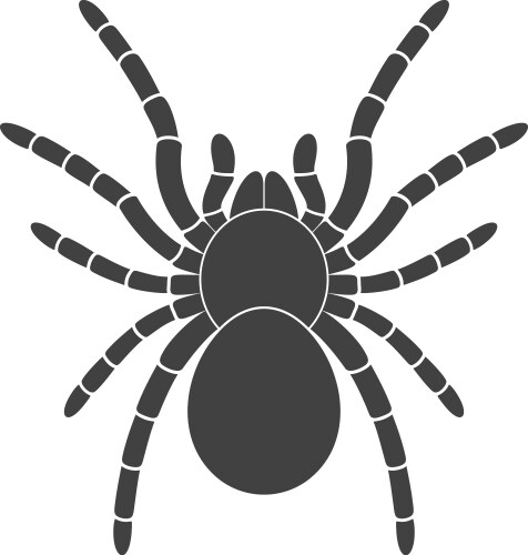 Tarantula Vector Images (over 6,100)