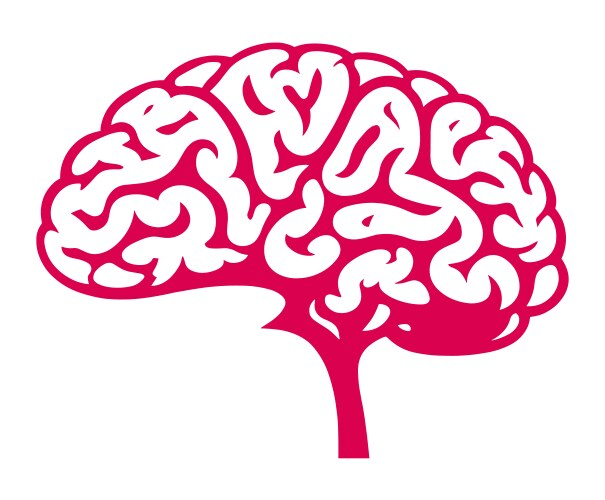 Brain Side View Vector Images (over 650)