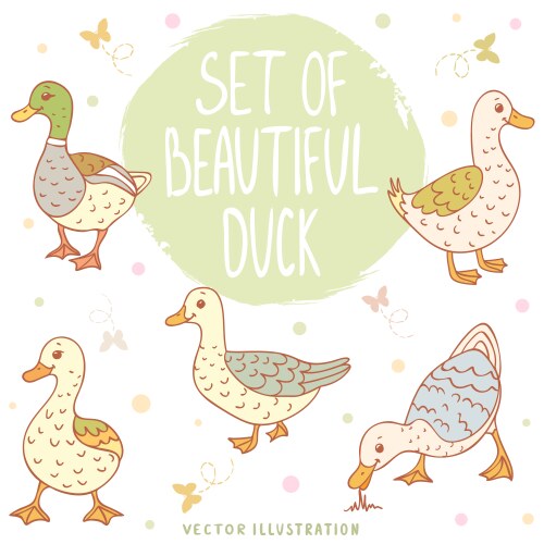 Duck Vector Images (over 61,000)