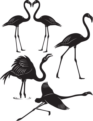Flamingo Vector Images (over 32,000)