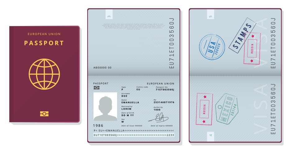 Blank open passport template Royalty Free Vector Image