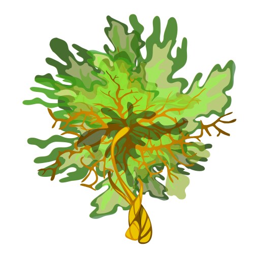 Algae Cartoon Vector Images (over 11,000)