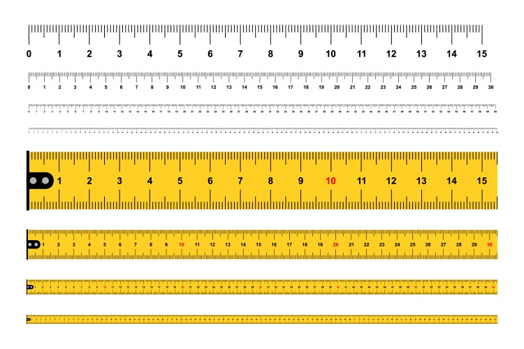 Measuring rulers school ruler metric scale Vector Image