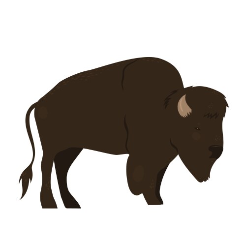 Bison cartoon animal Royalty Free Vector Image