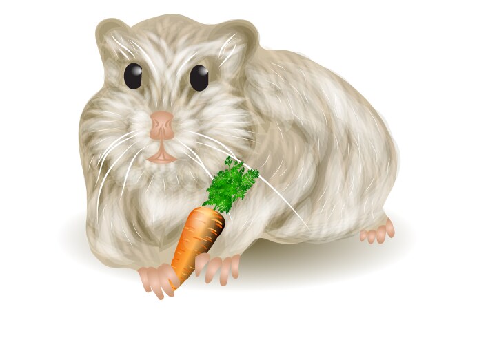 Hamster in football helmet engraving Royalty Free Vector