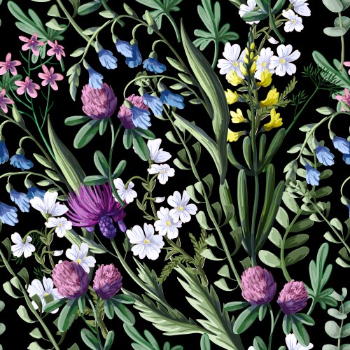 Seamless border with wild flowers Royalty Free Vector Image