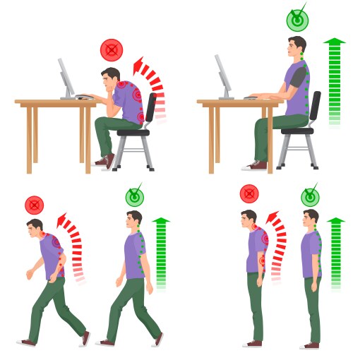 Correct and incorrect posture flat icons Vector Image