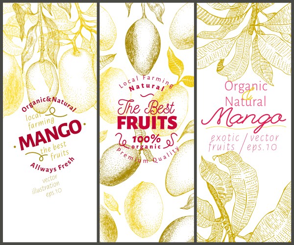 Mango Banner Vector Images (over 2,100)