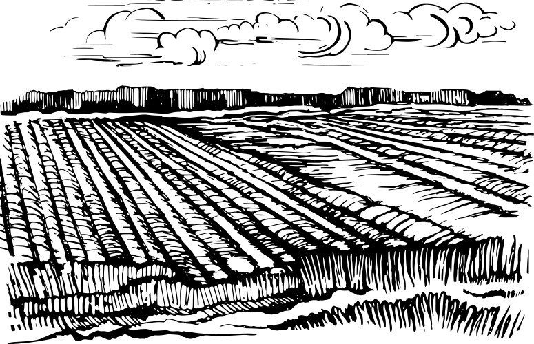 Crops Vector Images (over 110,000)