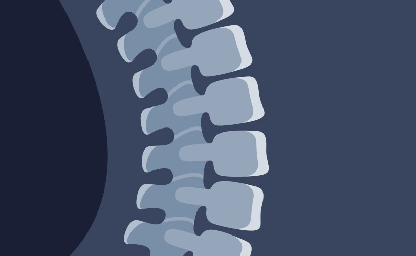 Spine Cartoon Vector Images (over 7,100)