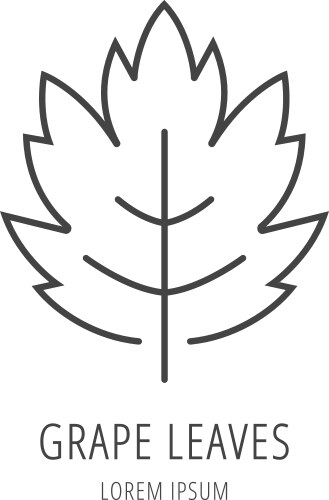 Ash leaf icon outline style Royalty Free Vector Image