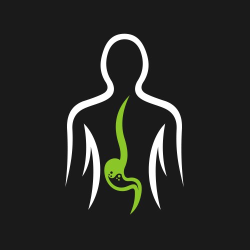 Digestive System Logo Premium Vector | Stomach Logo Icon