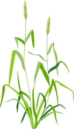 Weed Vector Images (over 67,000)