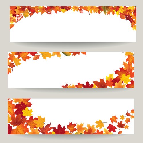 Autumn leaves set fall leaf floral icons over Vector Image