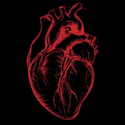 Heart grenade drawing Royalty Free Vector Image