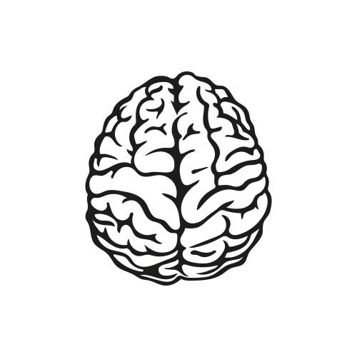 Brain outline Royalty Free Vector Image - VectorStock