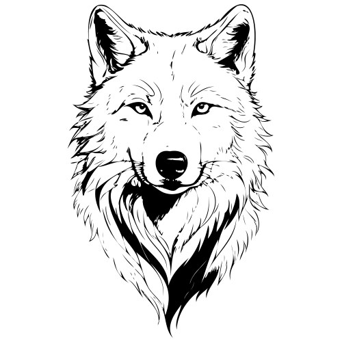 Arctic wolf portrait monochrome outline drawing Vector Image