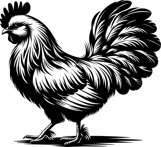 Chick Vector Images (over 35,000)
