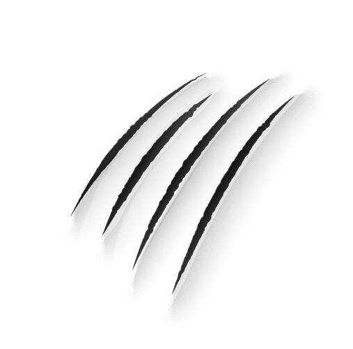 Tiger claw marks scratches predator nails trail Vector Image