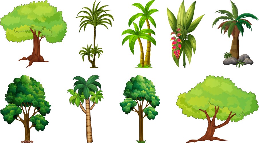 Set of trees Royalty Free Vector Image - VectorStock