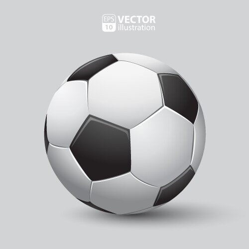 Detailed soccer ball isolated on transparent Vector Image