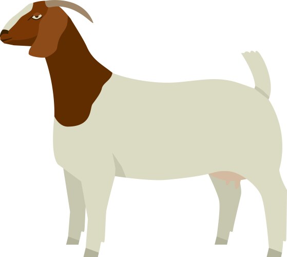 Boer Goat Vector Images (99)