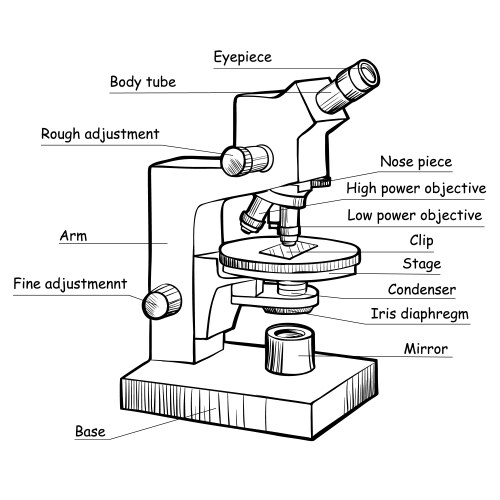 Electron Microscope Vector Images (over 5,100)