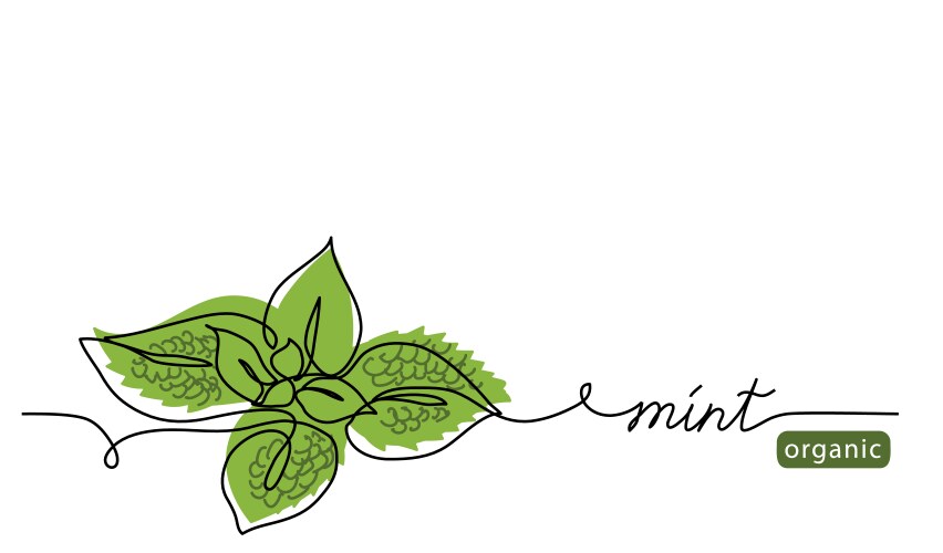 Mint Outline Vector Images (over 7,600)