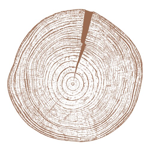 Tree Cross Section Vector Images (over 1,900)
