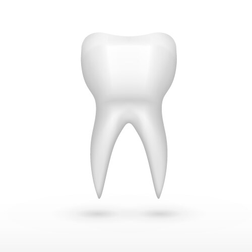 Molar Vector Images (over 17,000)