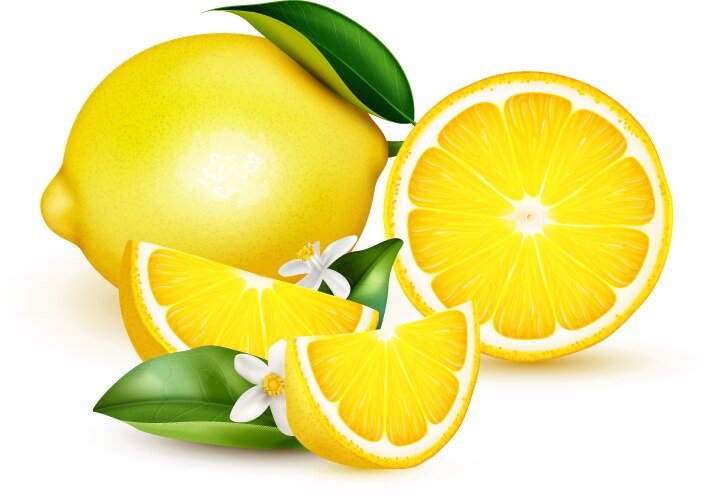 Realistic lemon splash flow with leaves Royalty Free Vector
