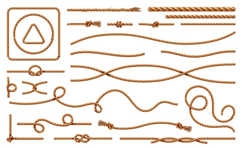 Ropes and knots Royalty Free Vector Image - VectorStock