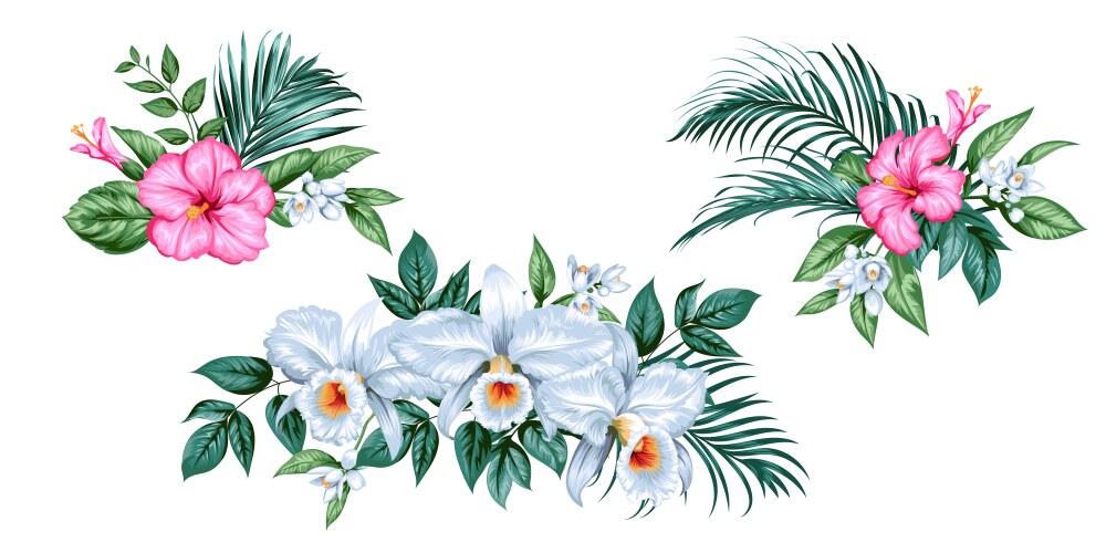 Tropical flower garland isolated over white Vector Image