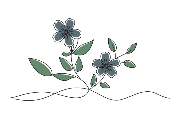 African violet in continuous line art drawing Vector Image
