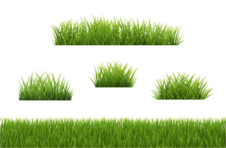 Long Grass Vector Images (over 4,800)