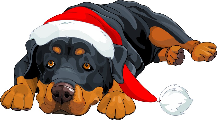 Rottweiler Royalty Free Vector Image - VectorStock