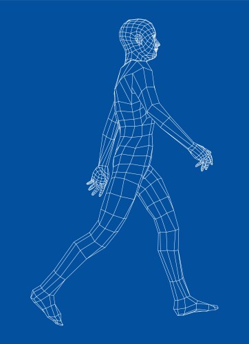 Wireframe walking man Royalty Free Vector Image