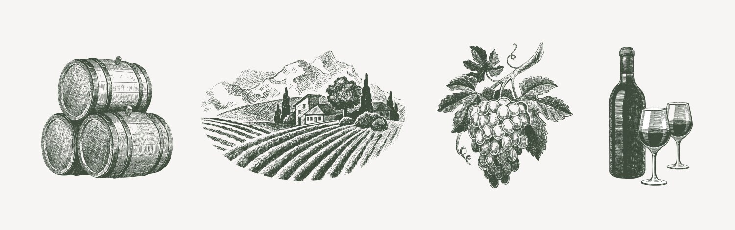 Winemaking Royalty Free Vector Image - VectorStock