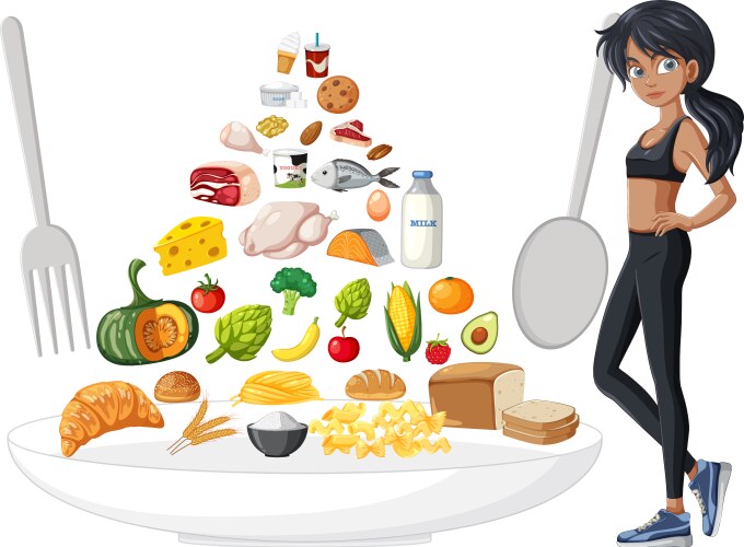 Food Pyramid Vector Images (over 5,900)