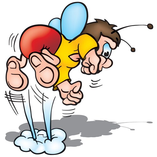 Darkling Beetle Life Cycle Diagram – Royalty-Free Vector | VectorStock