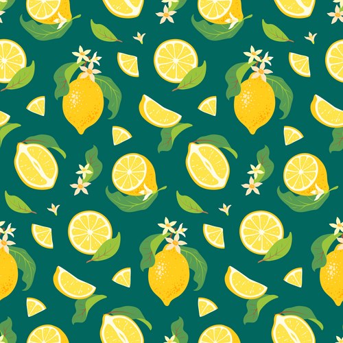 Citrus fruit slices seamless pattern – Royalty-Free Vector | VectorStock