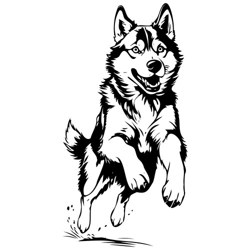 Husky Cartoon Vector Images (over 5,700)